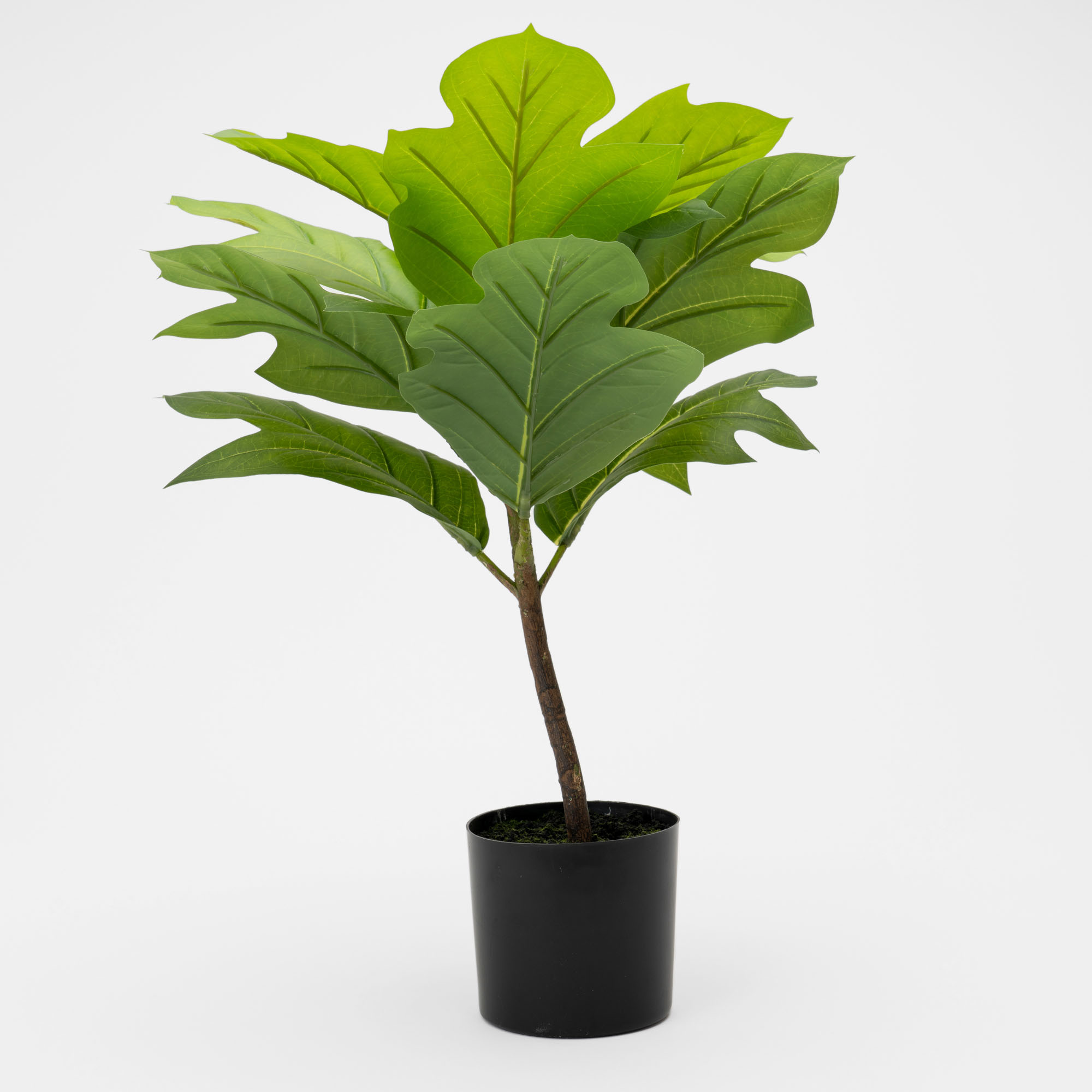 REAL TOUCH ARTIFICIAL FICUS TREE X 13 LEAAVES IN PLASTIC POT - Nordik ...